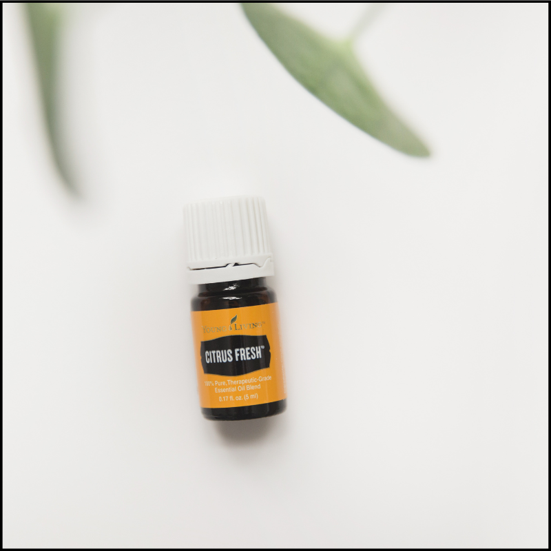 Military Essential Oils Starter Bundle — Enlightened Oilers