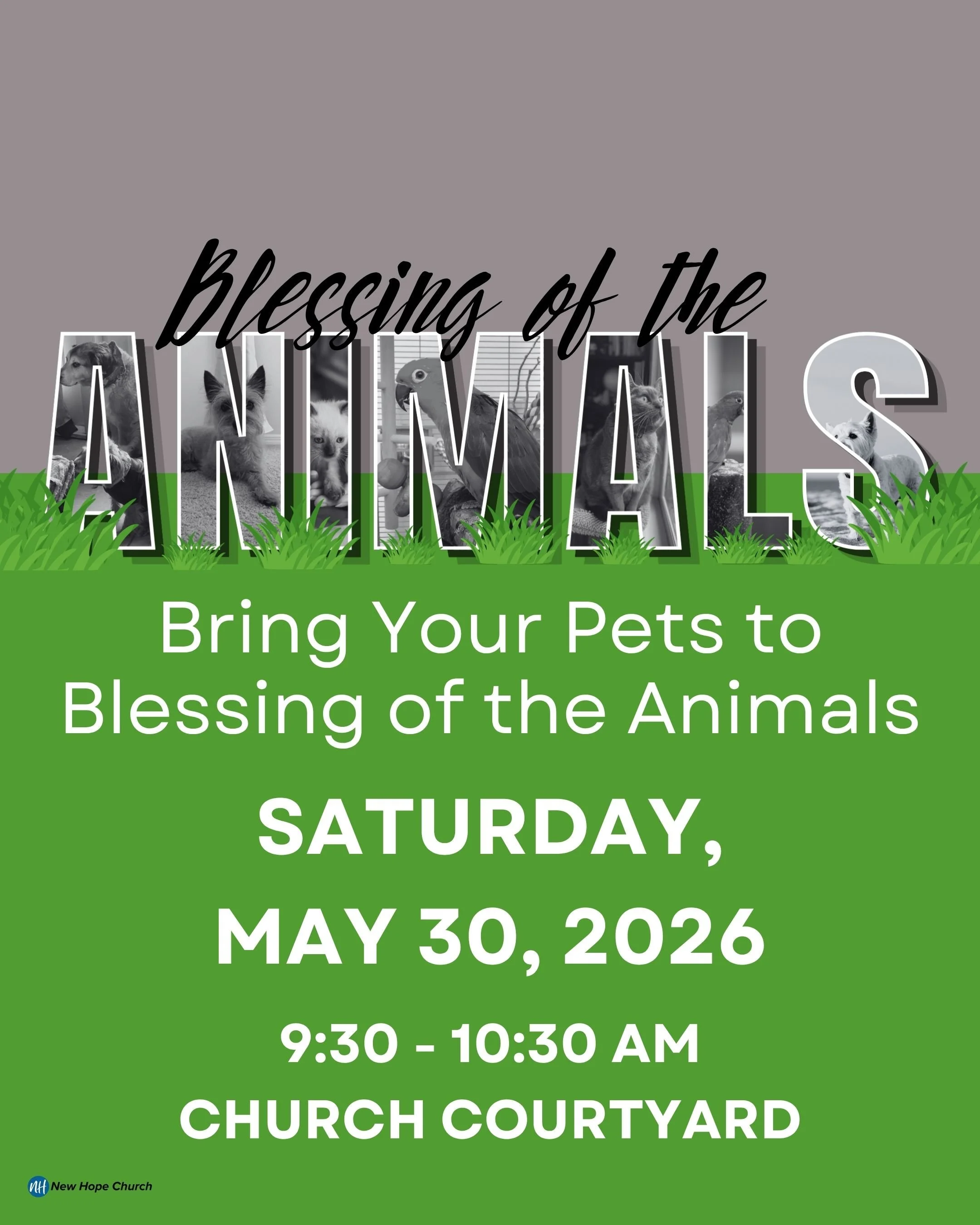 New Hope Blessing of the Animals | New Hope Church — New Hope Church