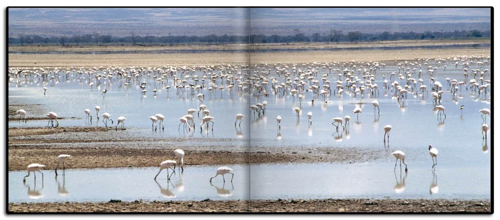 Capturing Wanderlust: Explore the World Through the Lens of Robert ...