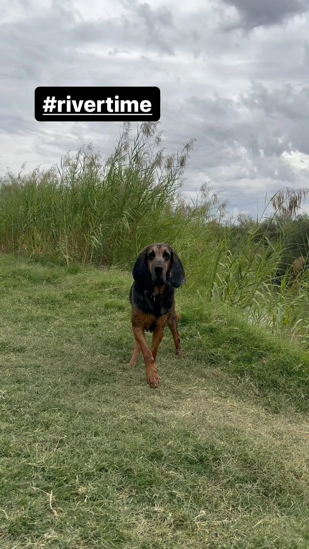 Big Bend National Park RV Park