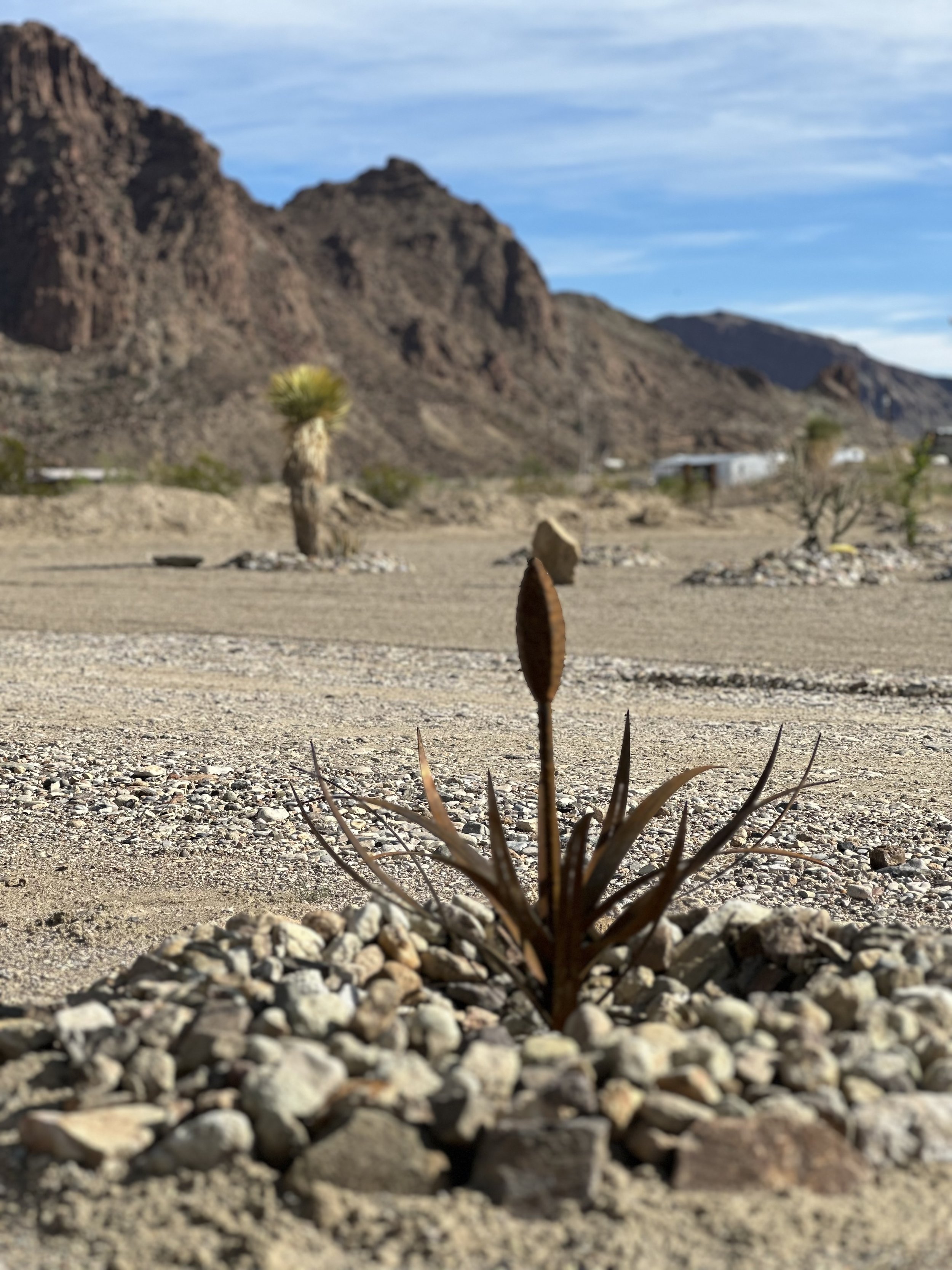 RoadRunner Travelers Campground Photos — Big Bend National Park RV Park