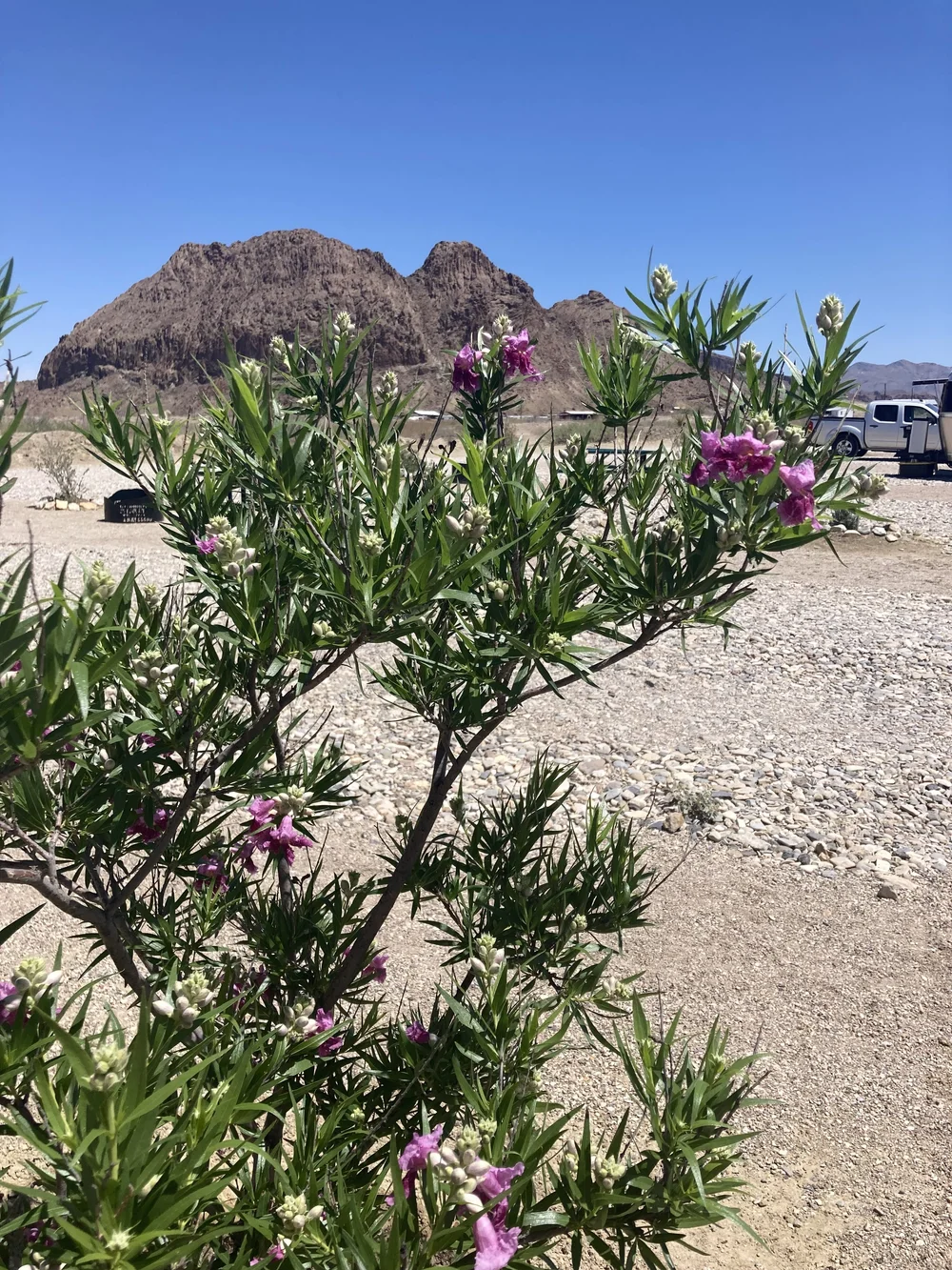 RoadRunner Travelers Campground Photos — Big Bend National Park RV Park