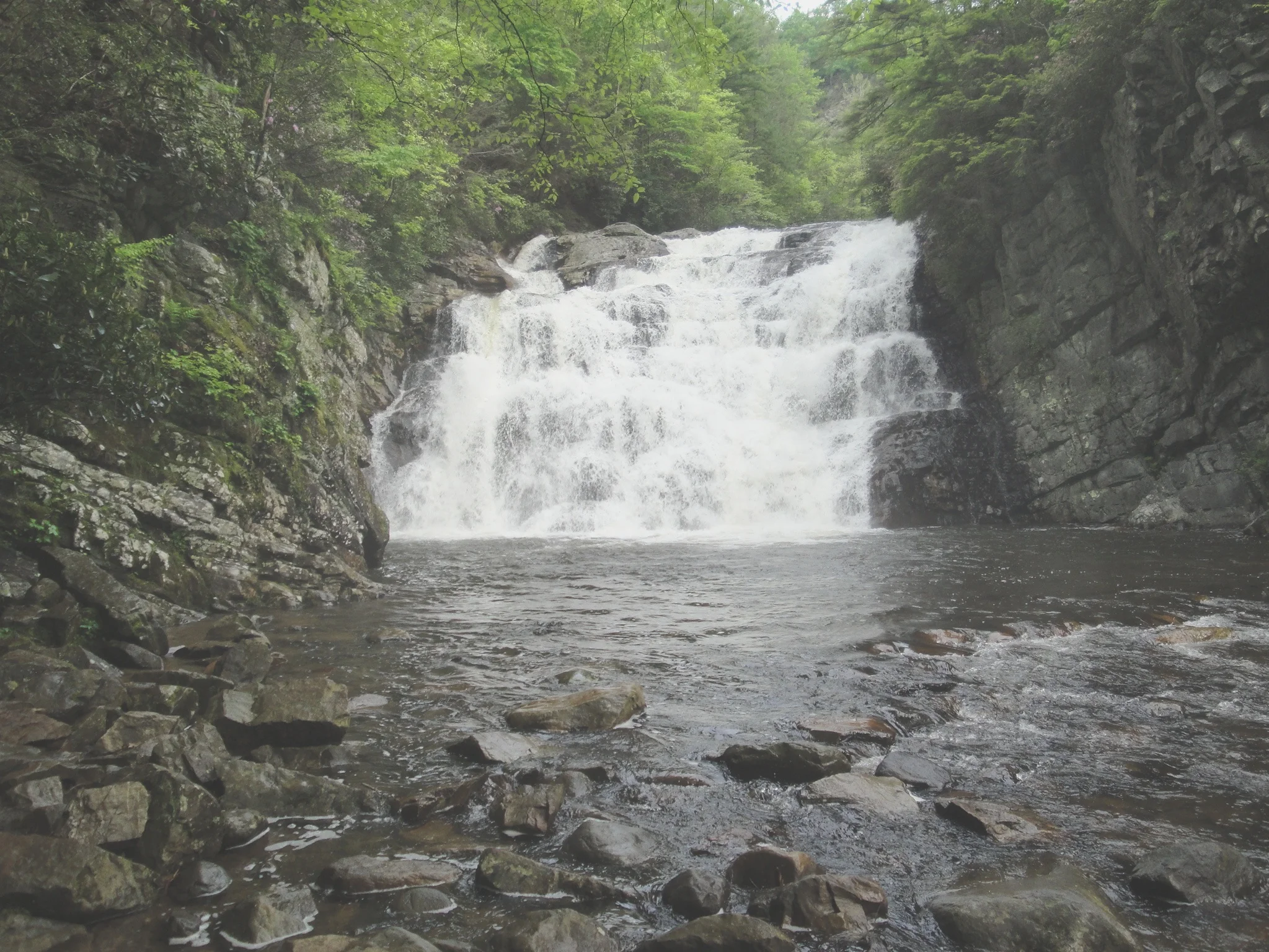 Contact — Shields Engineering & Design, LLC