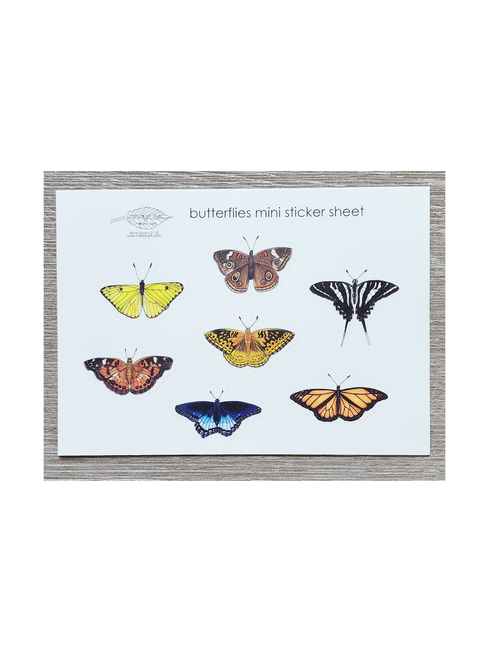 monarch life cycle sticker sheet 8x10 — melbry//arts