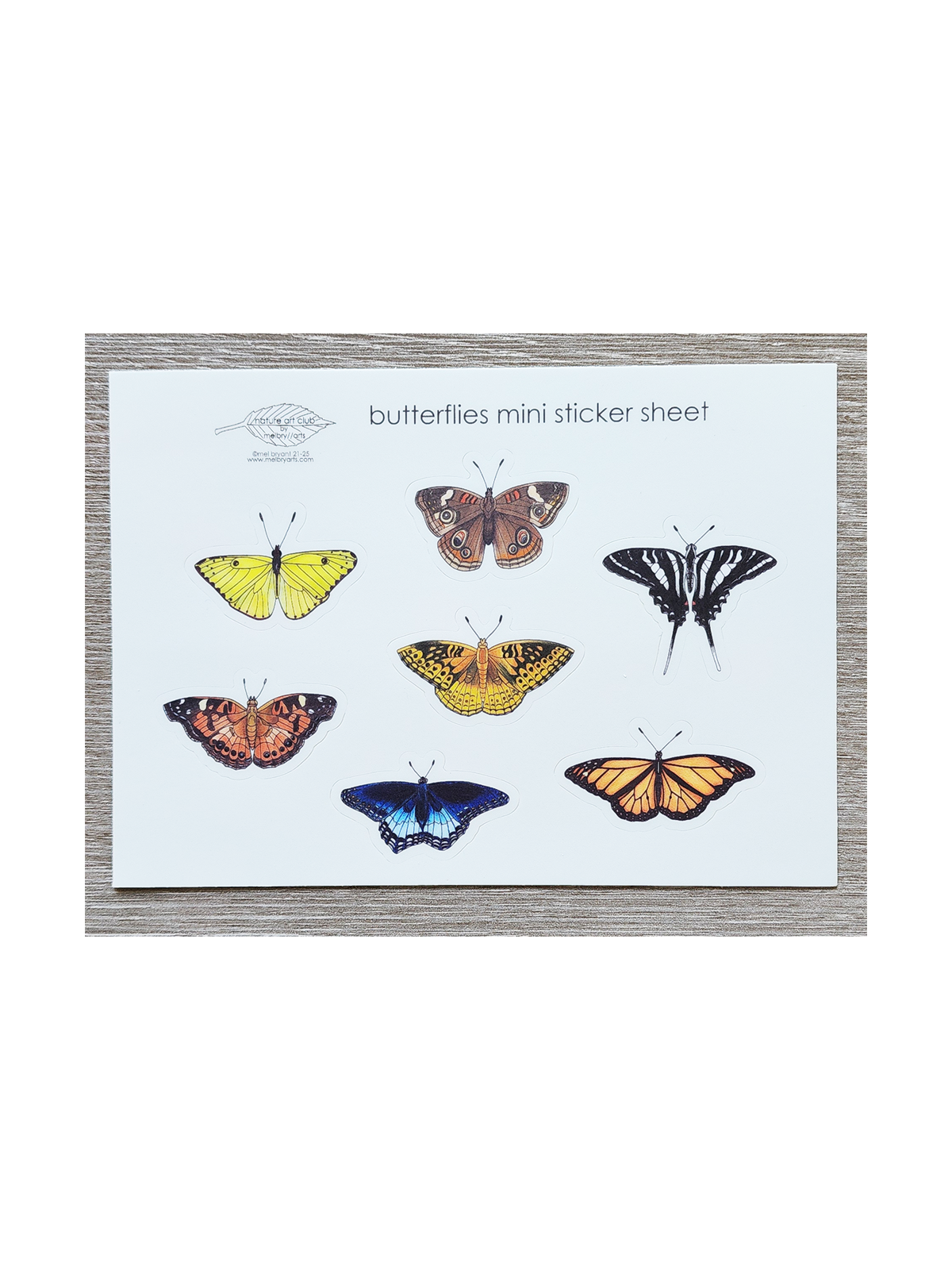 monarch life cycle sticker sheet 8x10 — melbry//arts