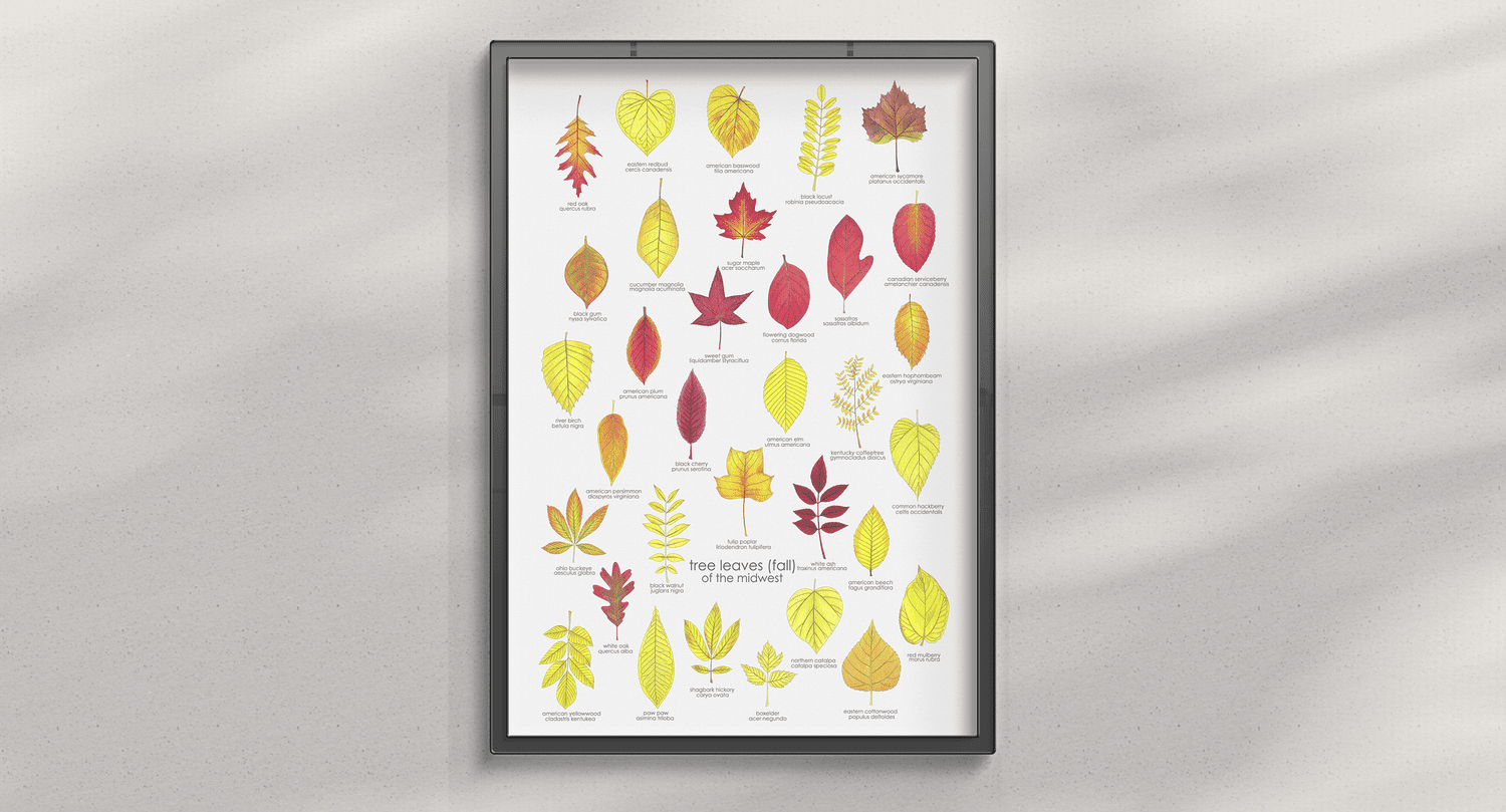 tree leaves of the midwest — melbry//arts