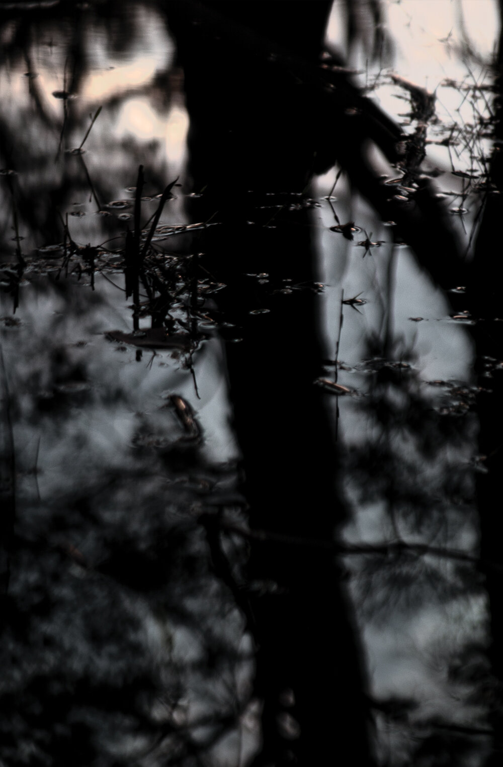 Kate Baker - Artwork - Sublimate — KATE BAKER