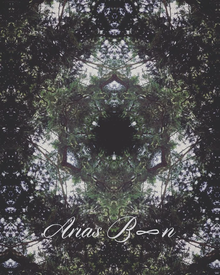 Woodland Groove: An all-ages concert — Living Forest Institute