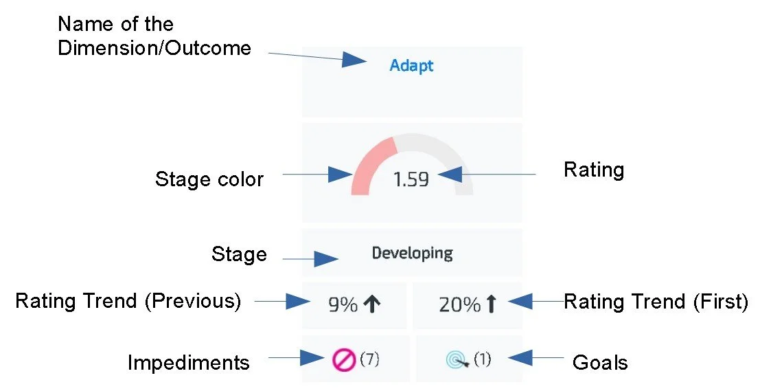 Result Dashboard Widgets — Lean Agile Intelligence