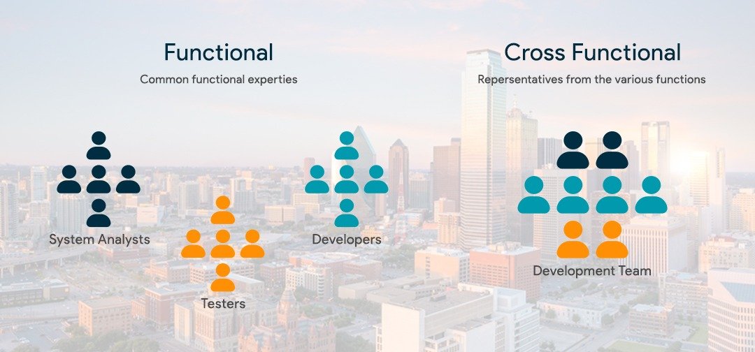 Developing Cross Functionality — Lean Agile Intelligence