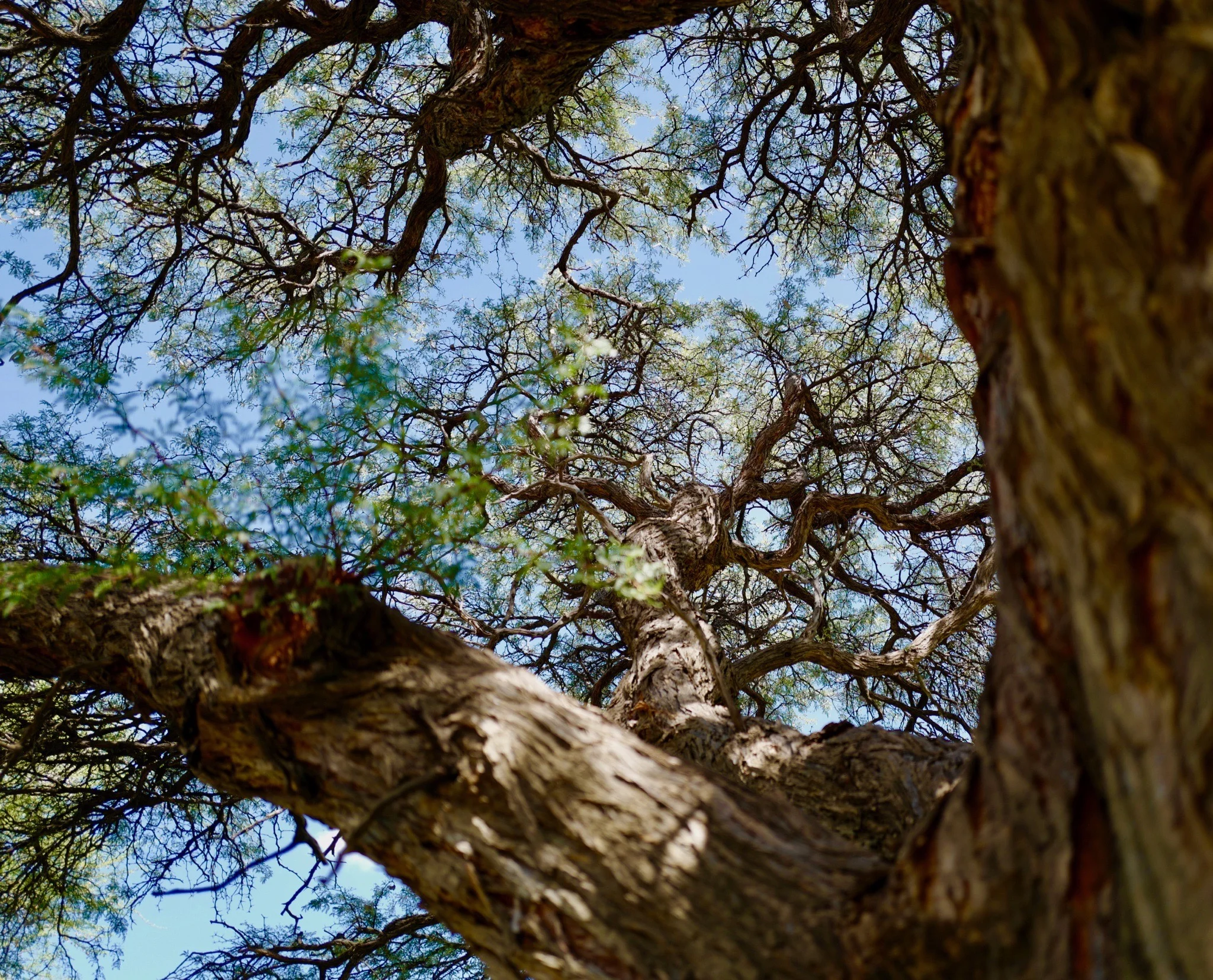 Landbased Services | About Landbased Services