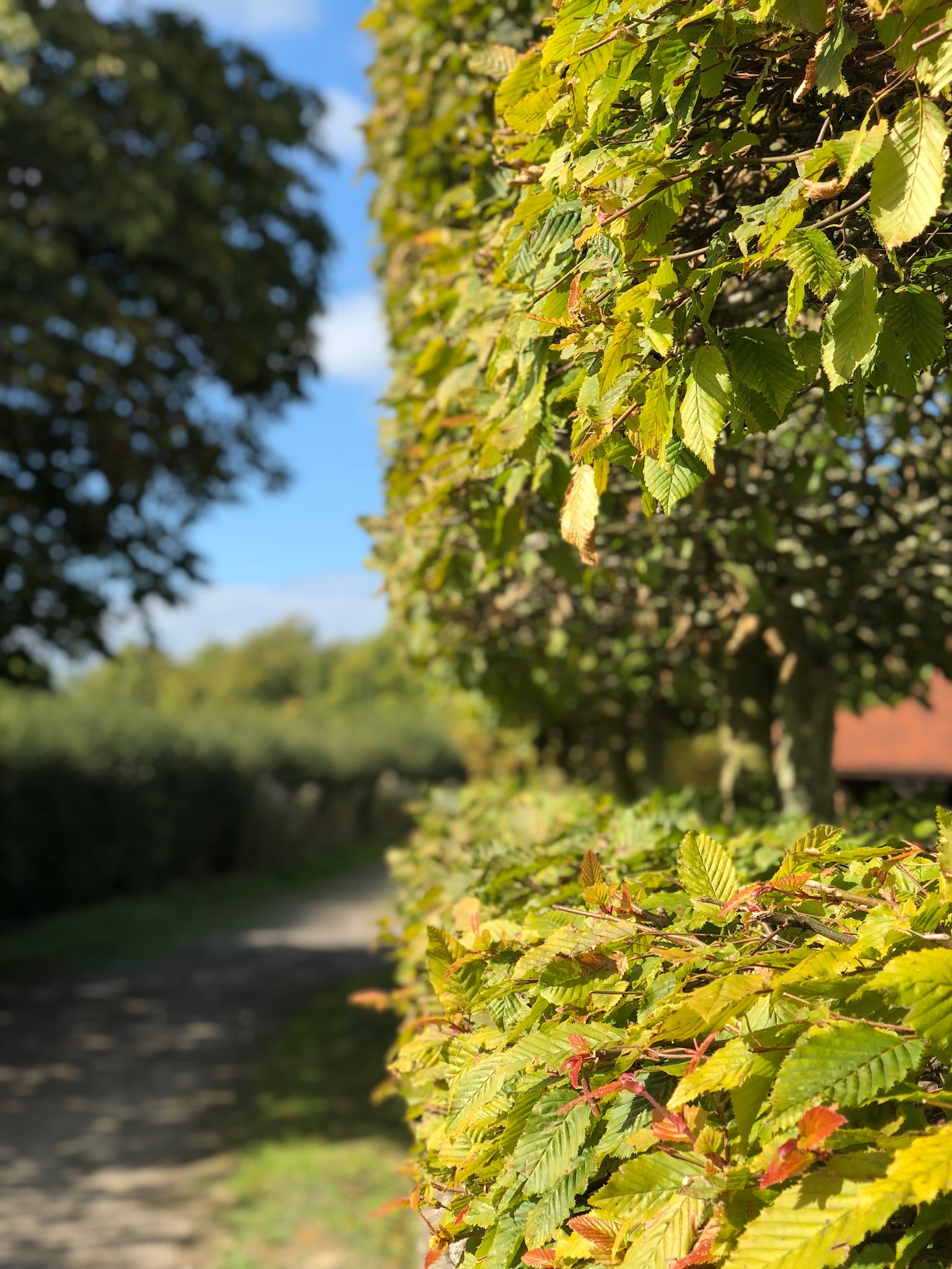 Landbased Services | About Landbased Services