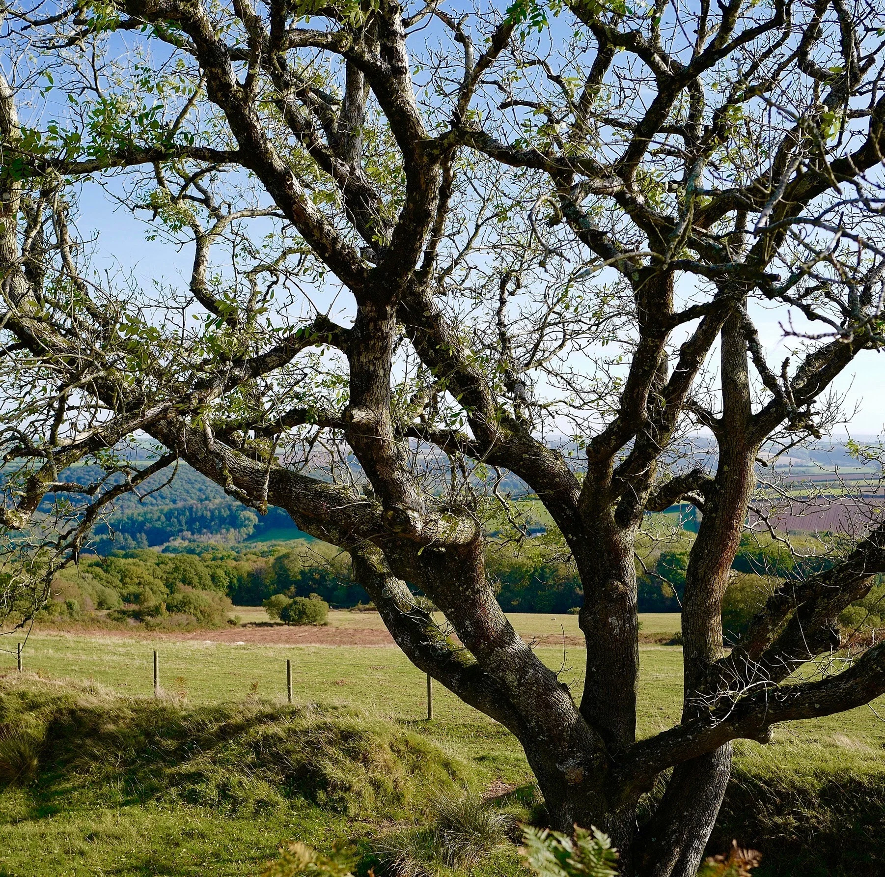 Landbased Services | About Landbased Services