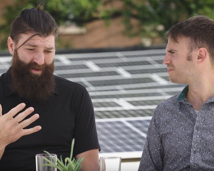 The What, How, and Why of Solar Energy — Foresight Management