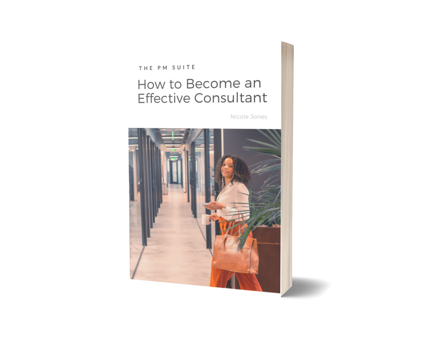 Consultant E-Book — THE PM SUITE