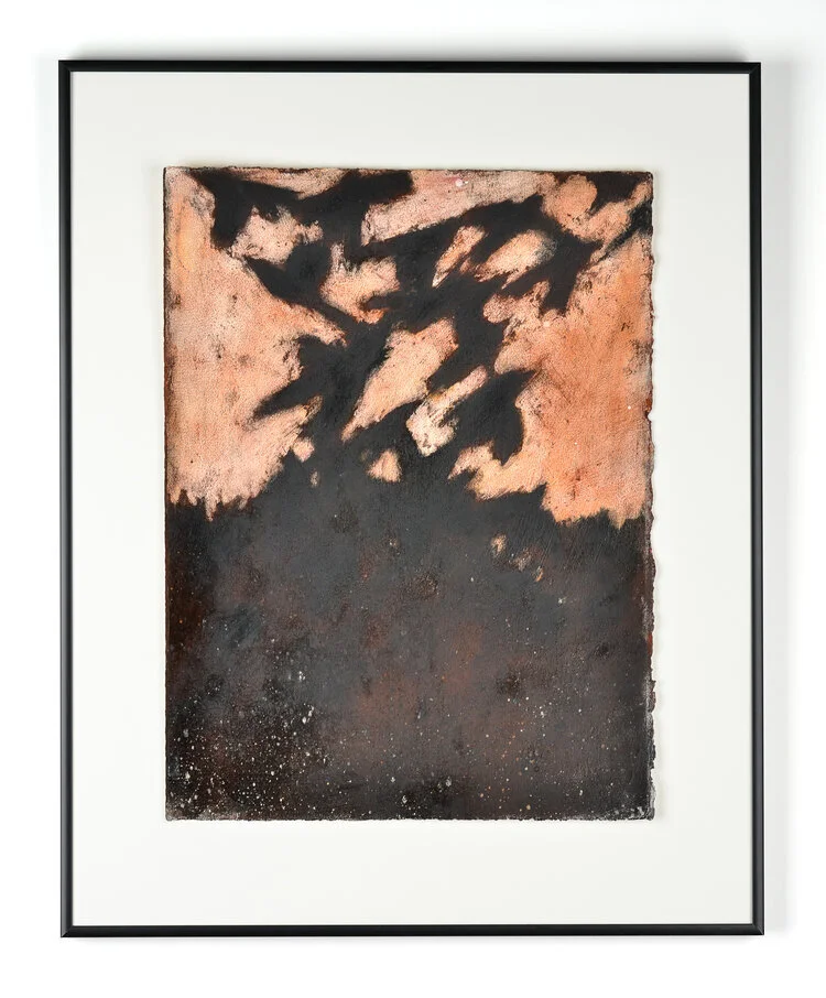 Curator Talk - Lissa Hunter on Flight — COVE STREET ARTS
