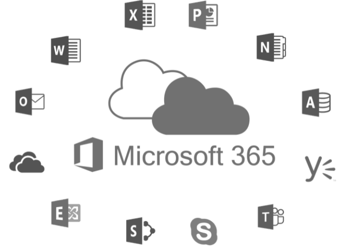 Microsoft 365 for Business | Opkalla