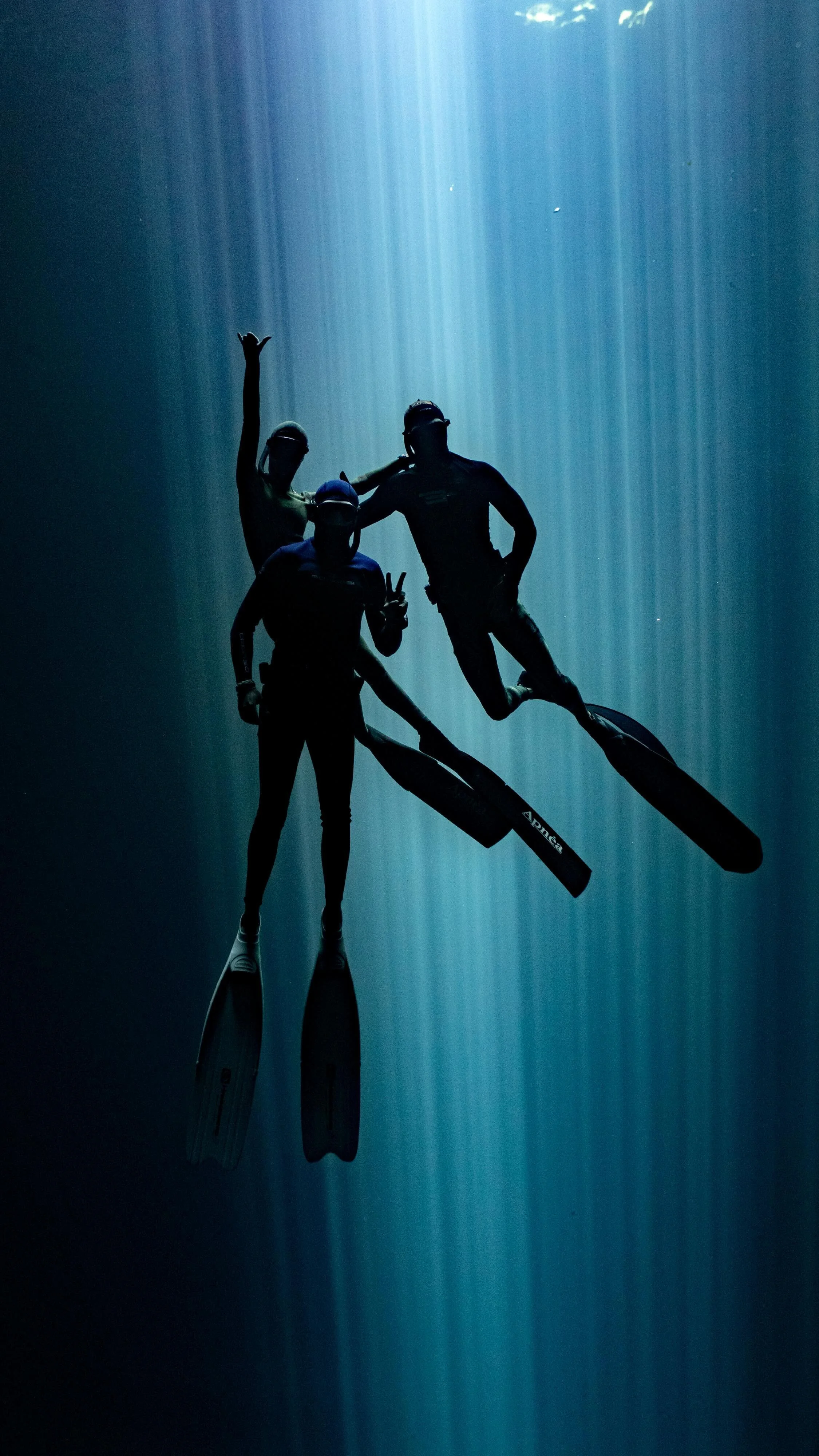 Amancay Freediving | Freediving Riviera Maya, Baja California Sur ...