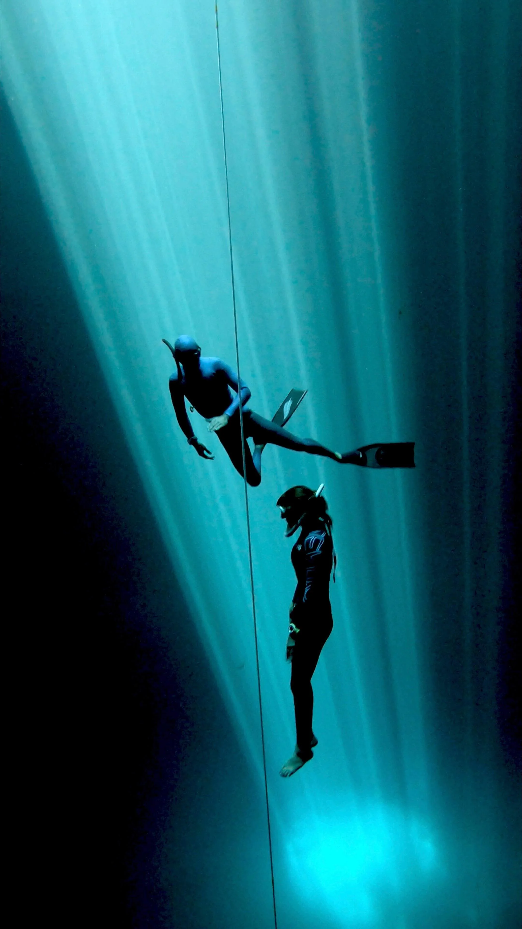 Amancay Freediving | Freediving Riviera Maya, Baja California Sur ...