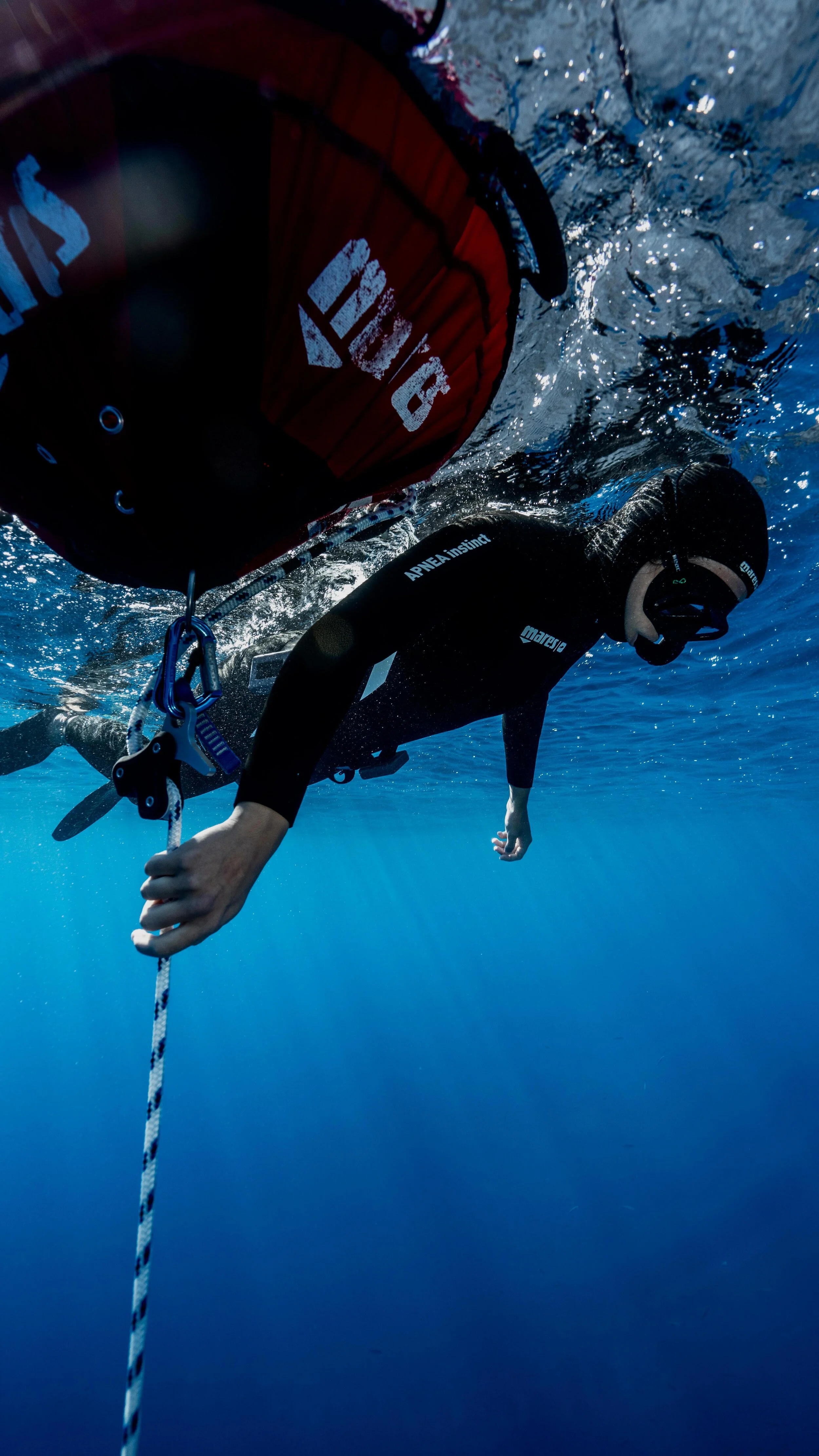 Amancay Freediving | Freediving Riviera Maya, Baja California Sur ...
