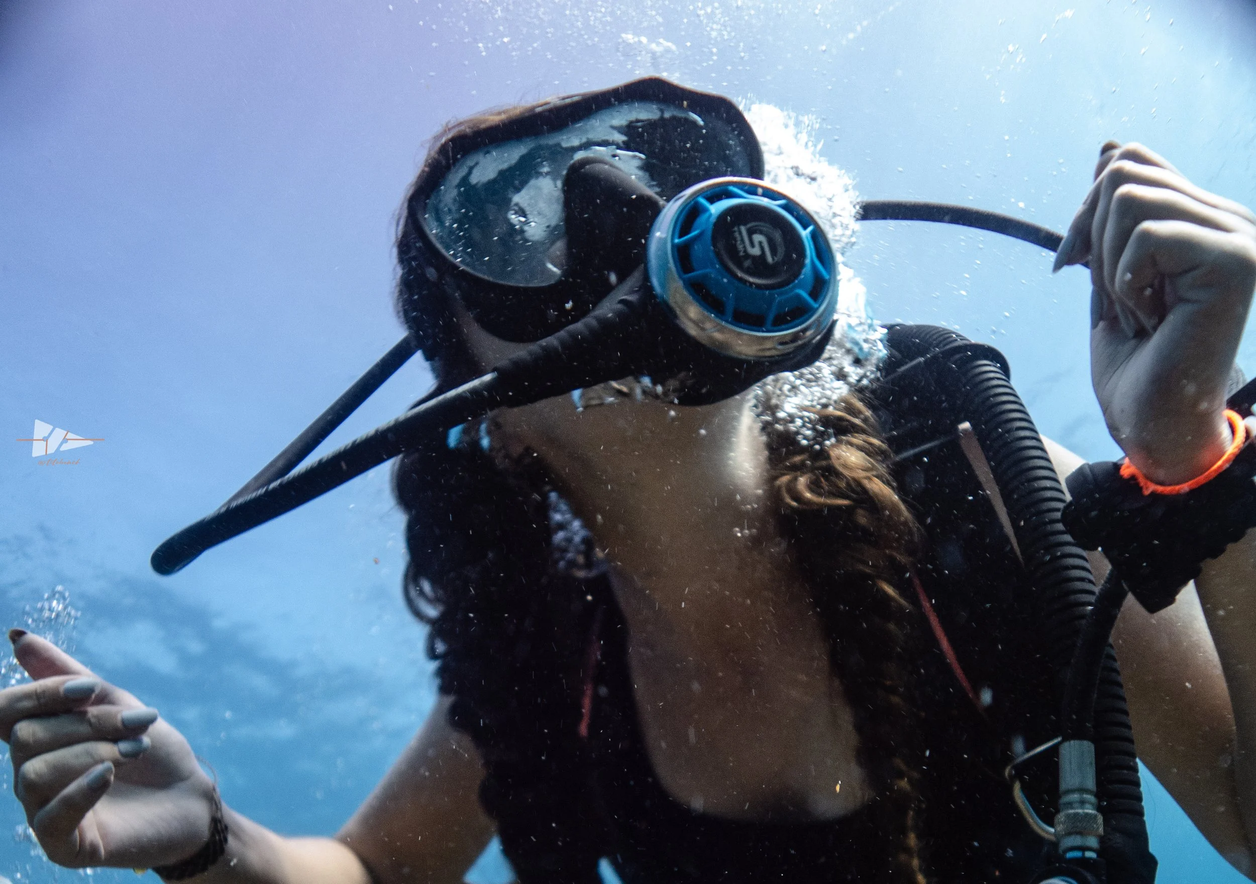 Scuba Diving - Riviera Maya Freediving Freediving Courses — Amancay ...