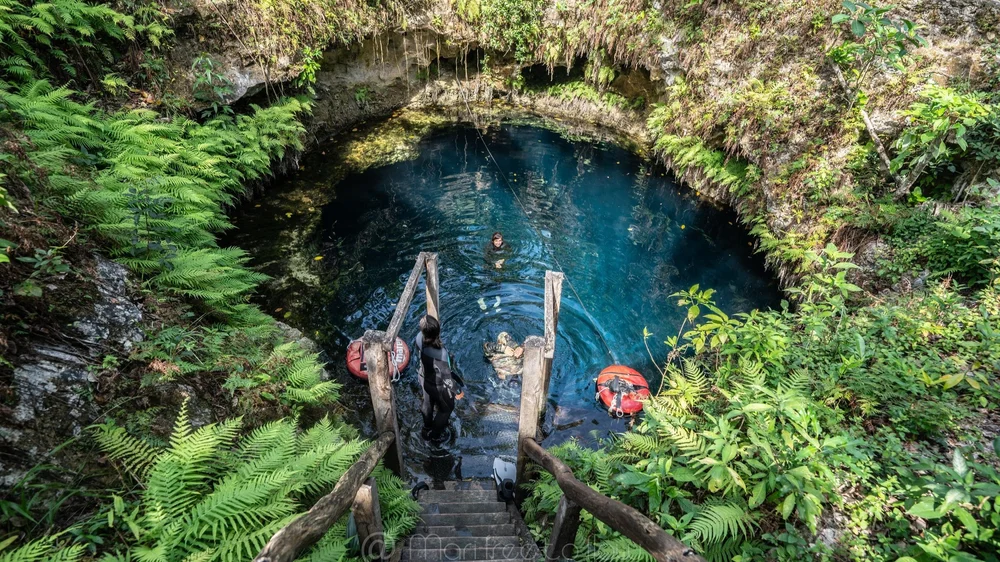 Amancay Freediving | Freediving Riviera Maya, Baja California Sur ...