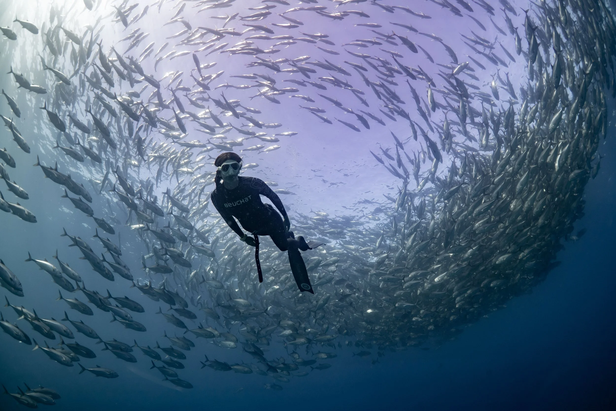 Amancay Freediving | Freediving Riviera Maya, Baja California Sur ...