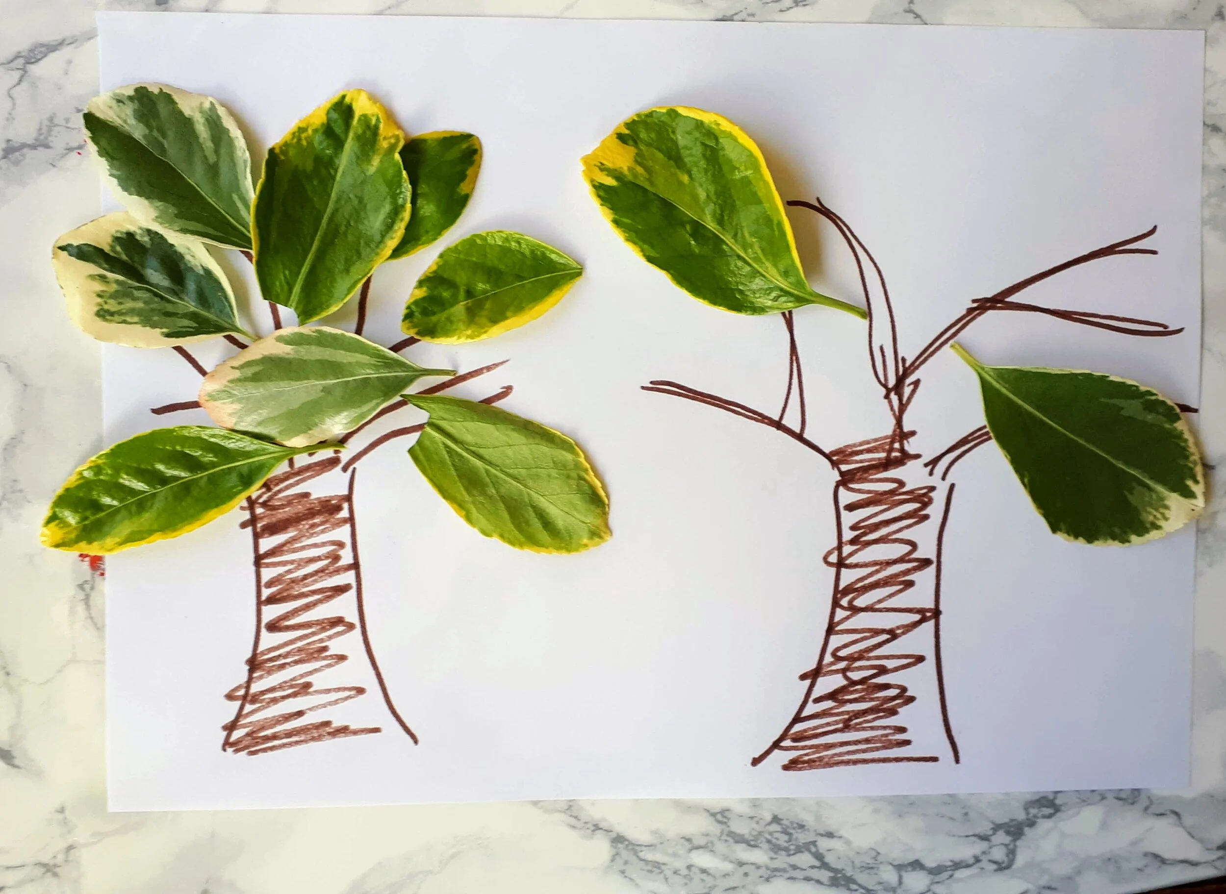 Number Bond Tree Templates