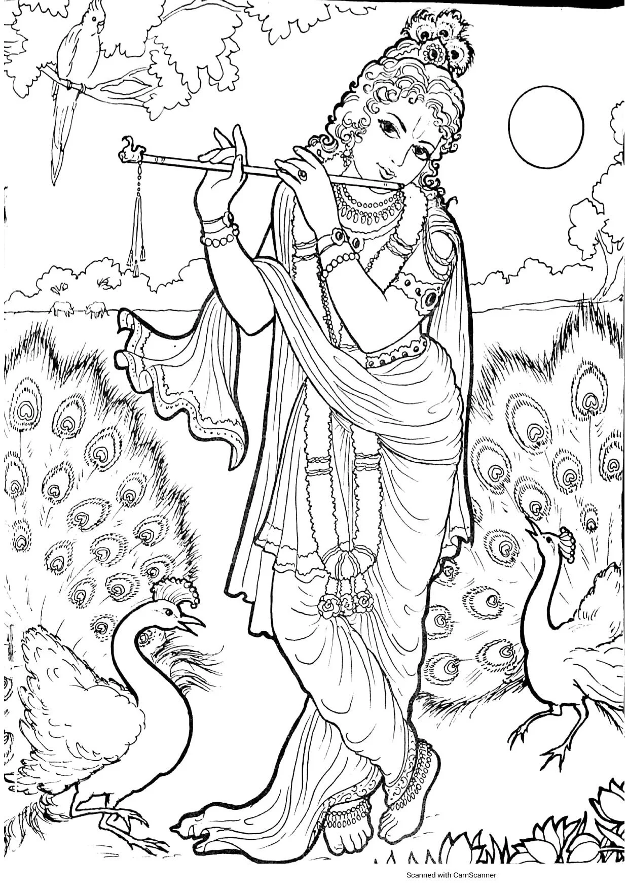Krishna Coloring Lord Radha Drawing Colour Drawings Pencil Flute Sketch ...