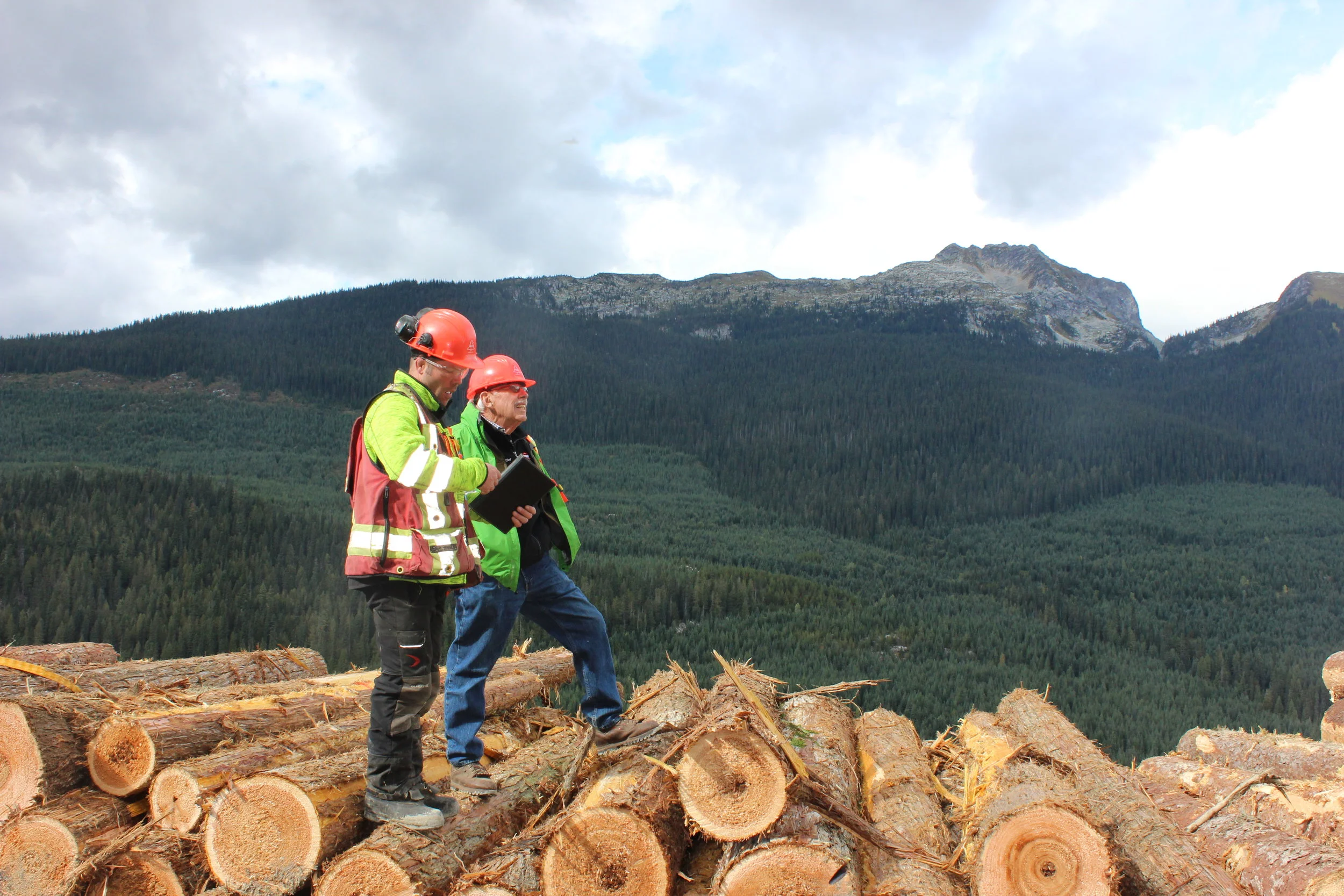 Woodlands — Gilbert Smith Forest Products Ltd.