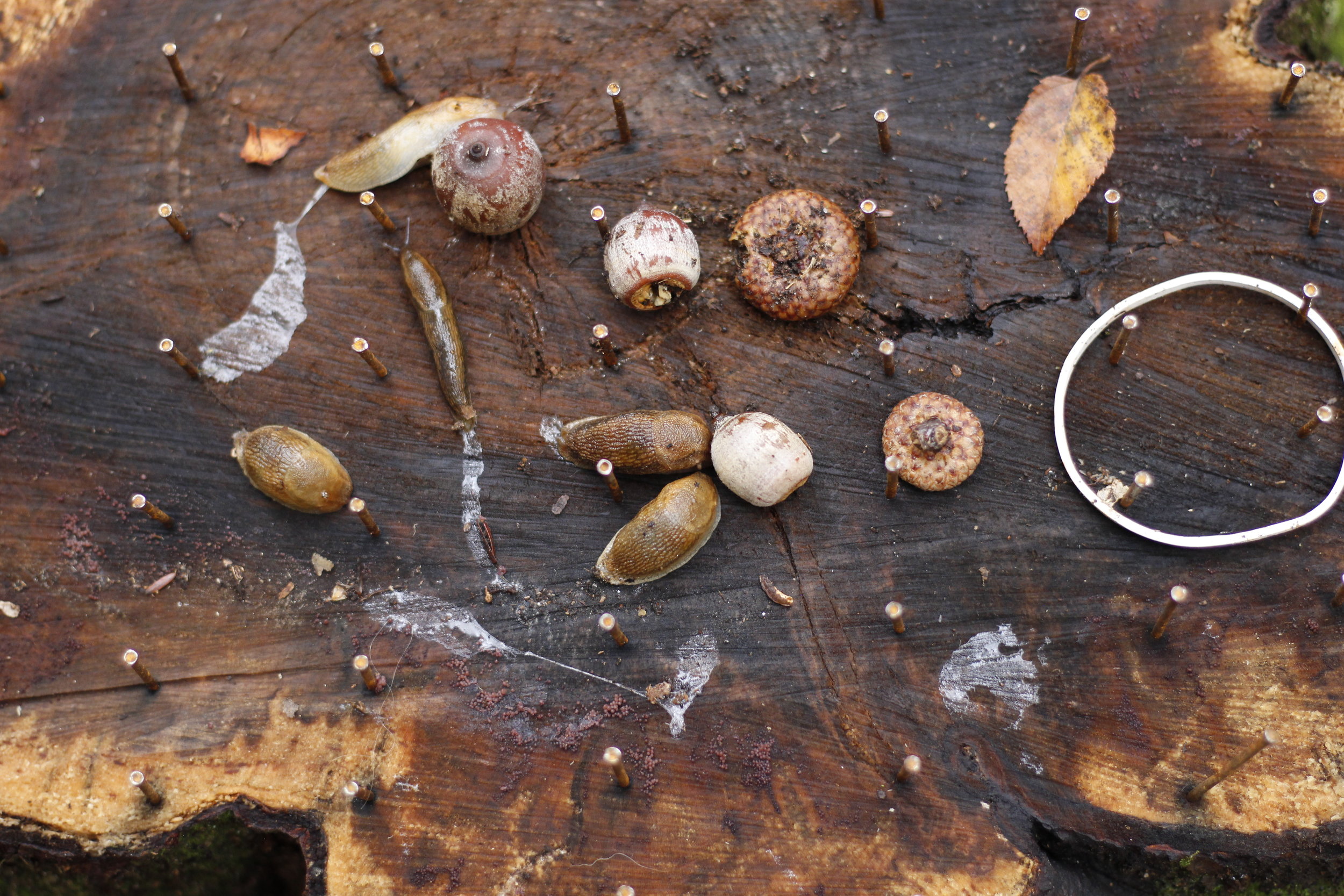 What We Do — Inside-Outside