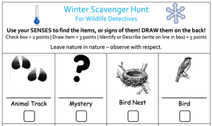 Winter Curriculum — Inside-Outside