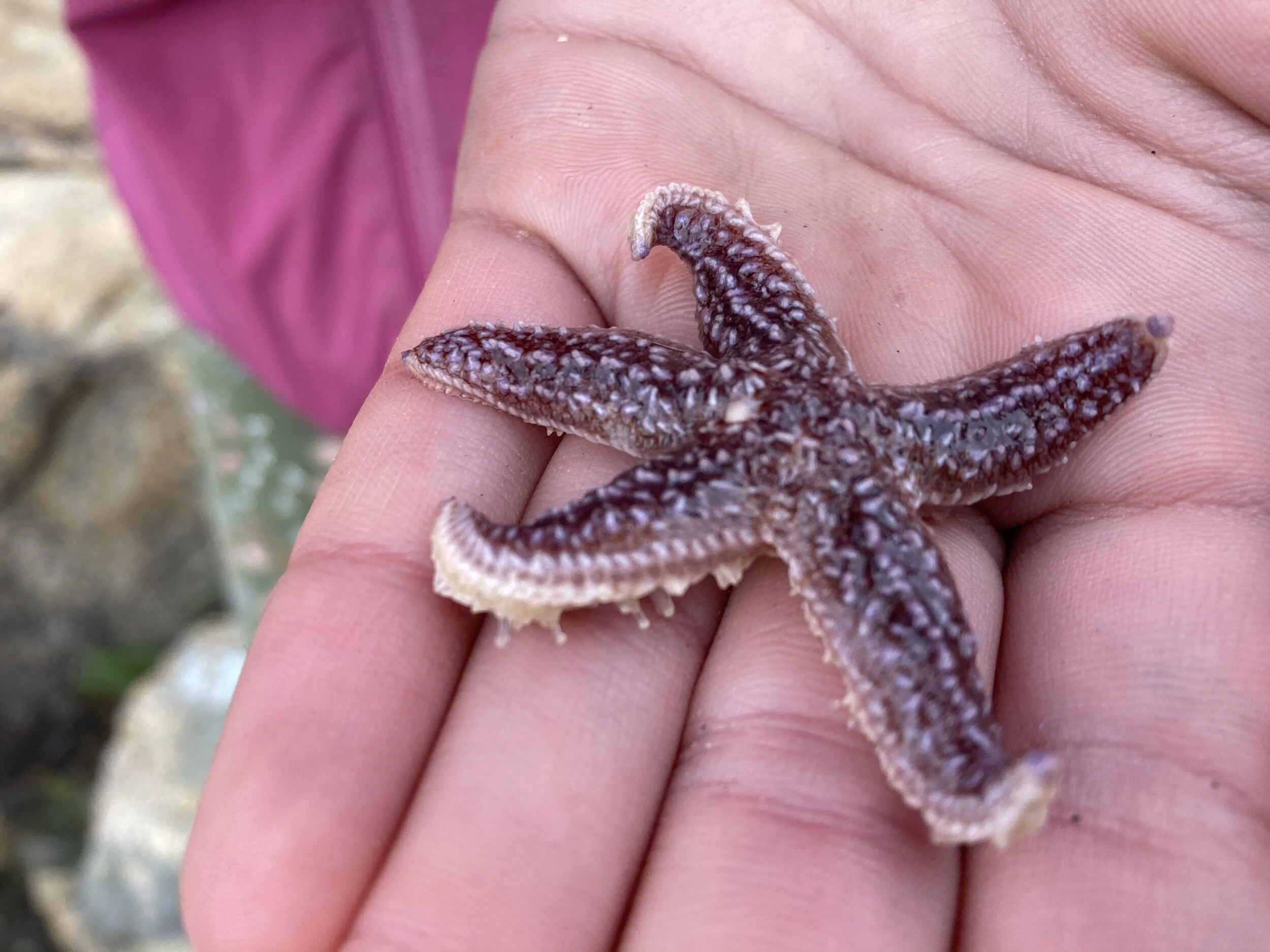 Position Statements — Inside-Outside