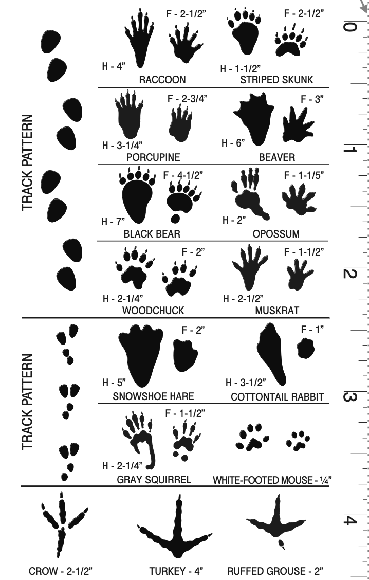 For Families — Inside-Outside