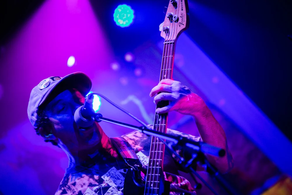 Animal Collective Concert