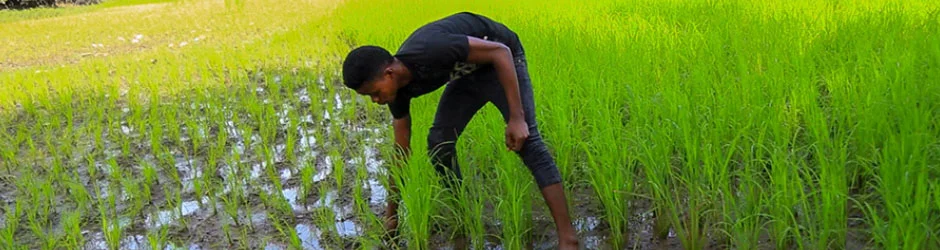 Invest in Guinea — Consulate of the Republic of Guinea