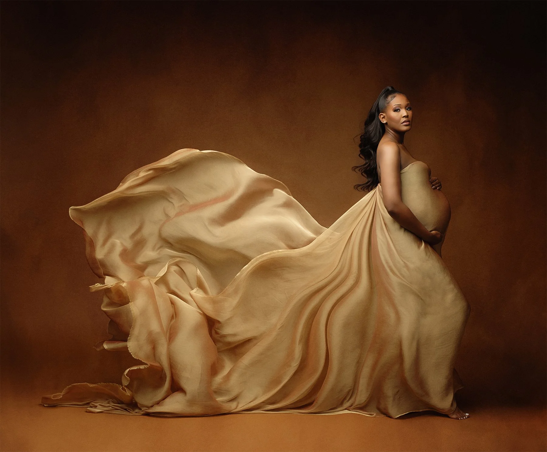 Professional Pregnancy Pictures Ideas