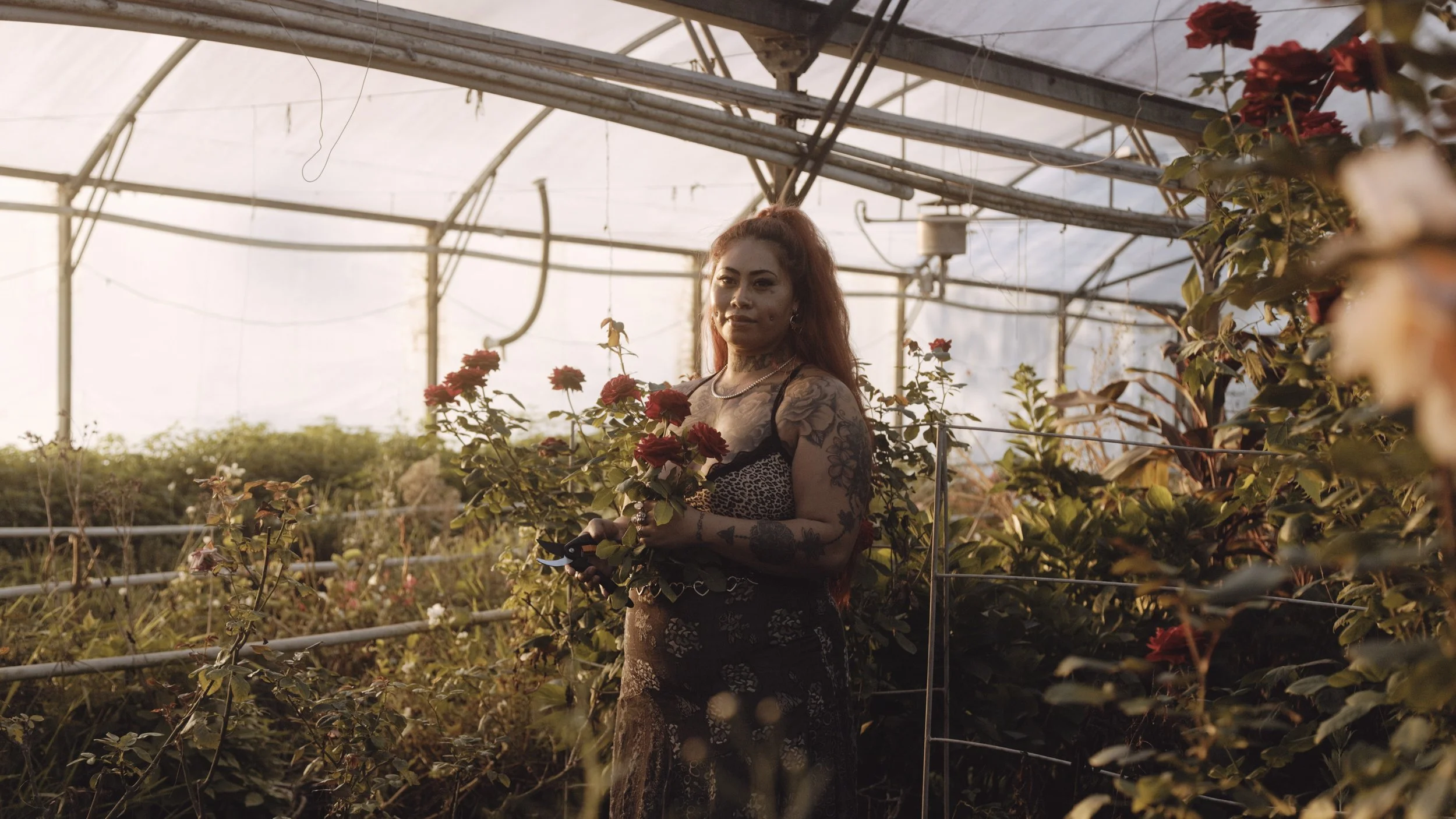 Who we are — Ranui Action Project