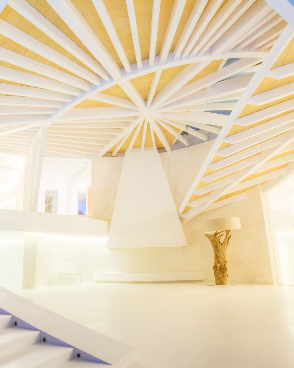 Projects — ALBERTO RUBIO | THE BIRD HOUSES