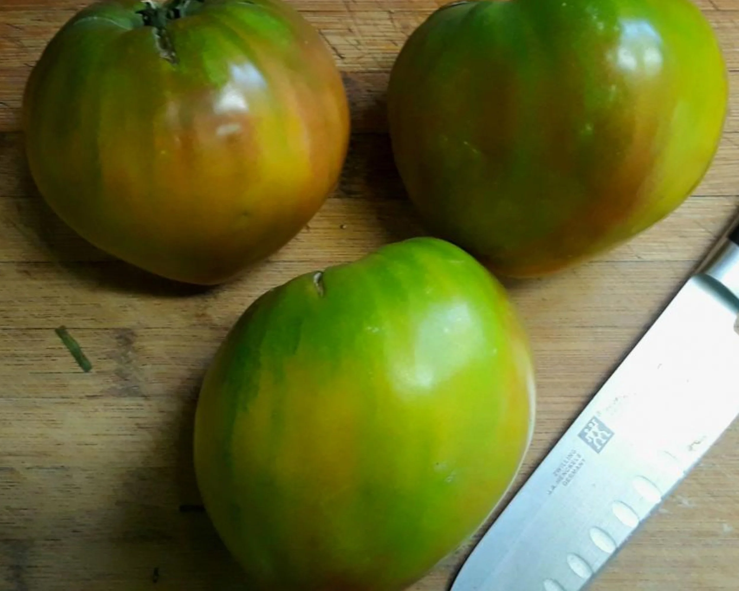 2023 Varieties — Chicago Tomato Man