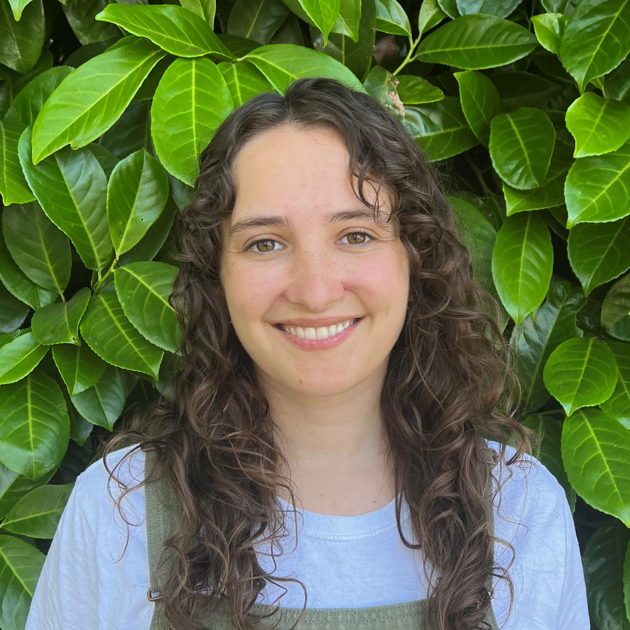 Team — Vega Civil Engineering