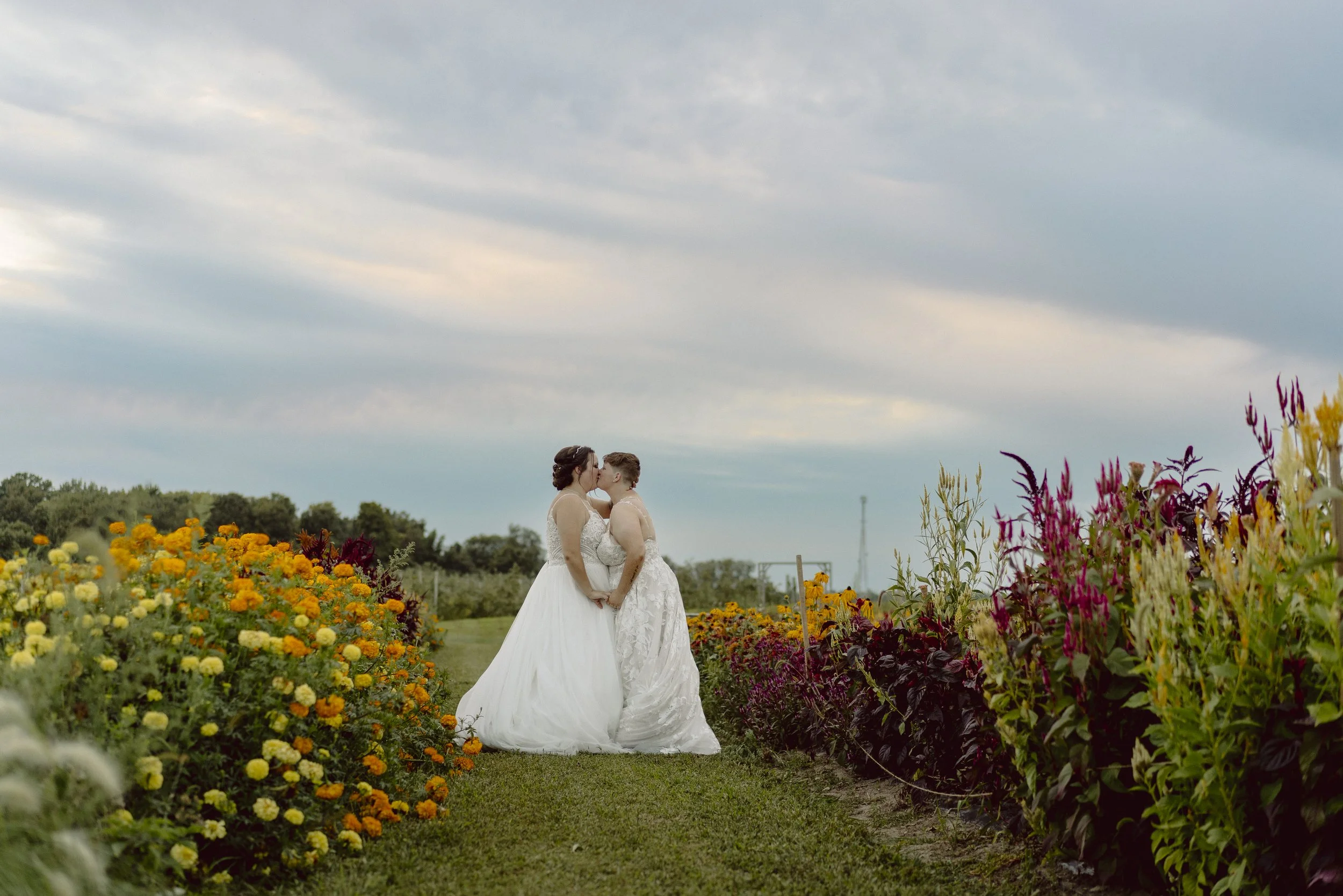 Simply Shannon Cinema