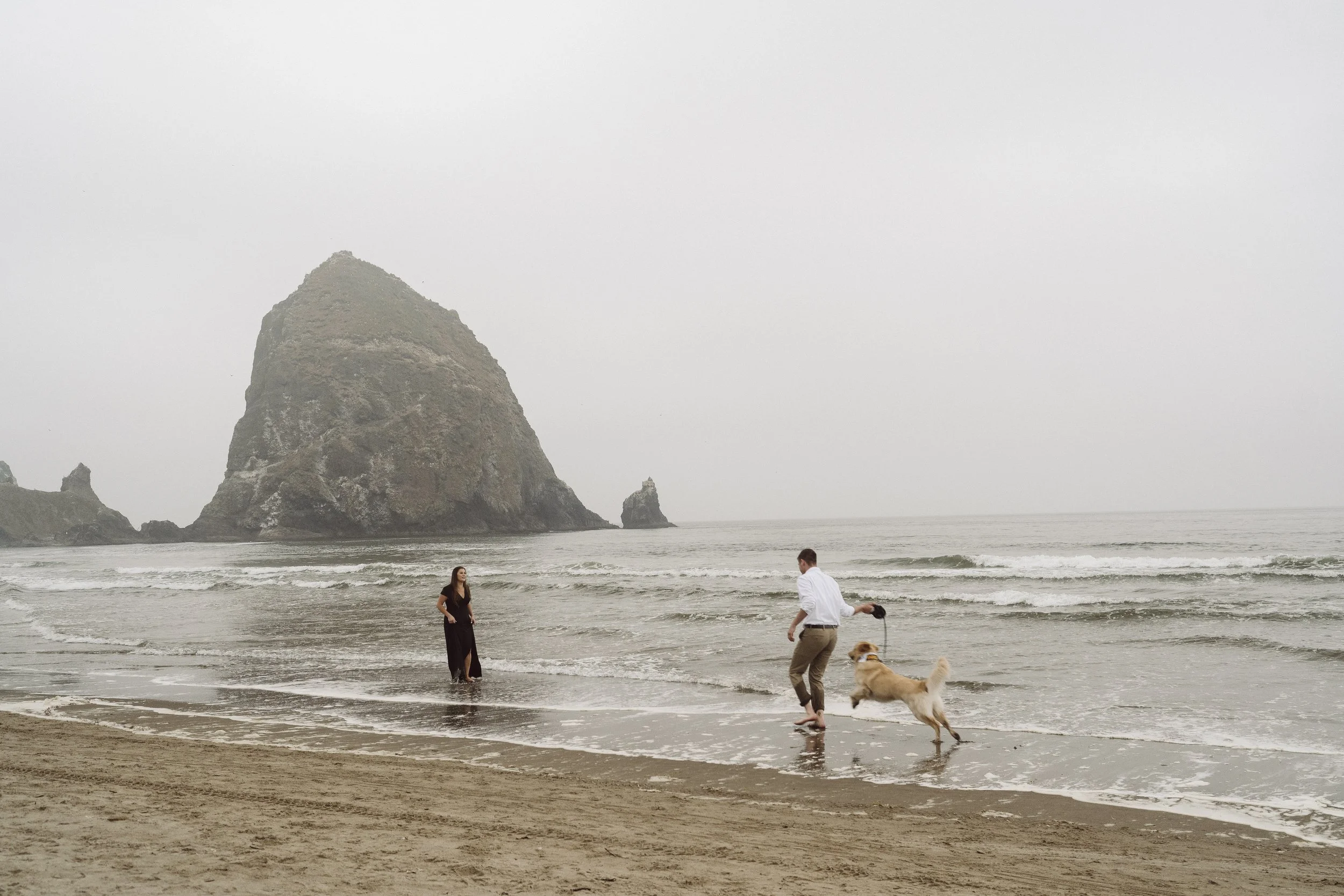 Simply Shannon Cinema