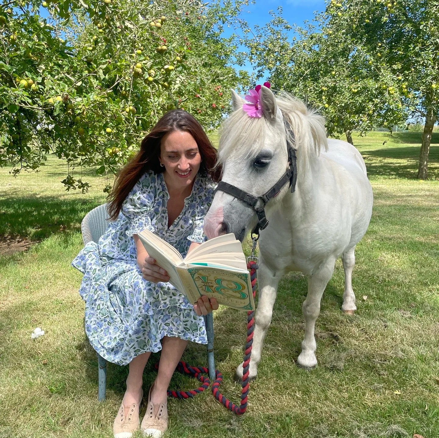 Social Media — Alice Loxton