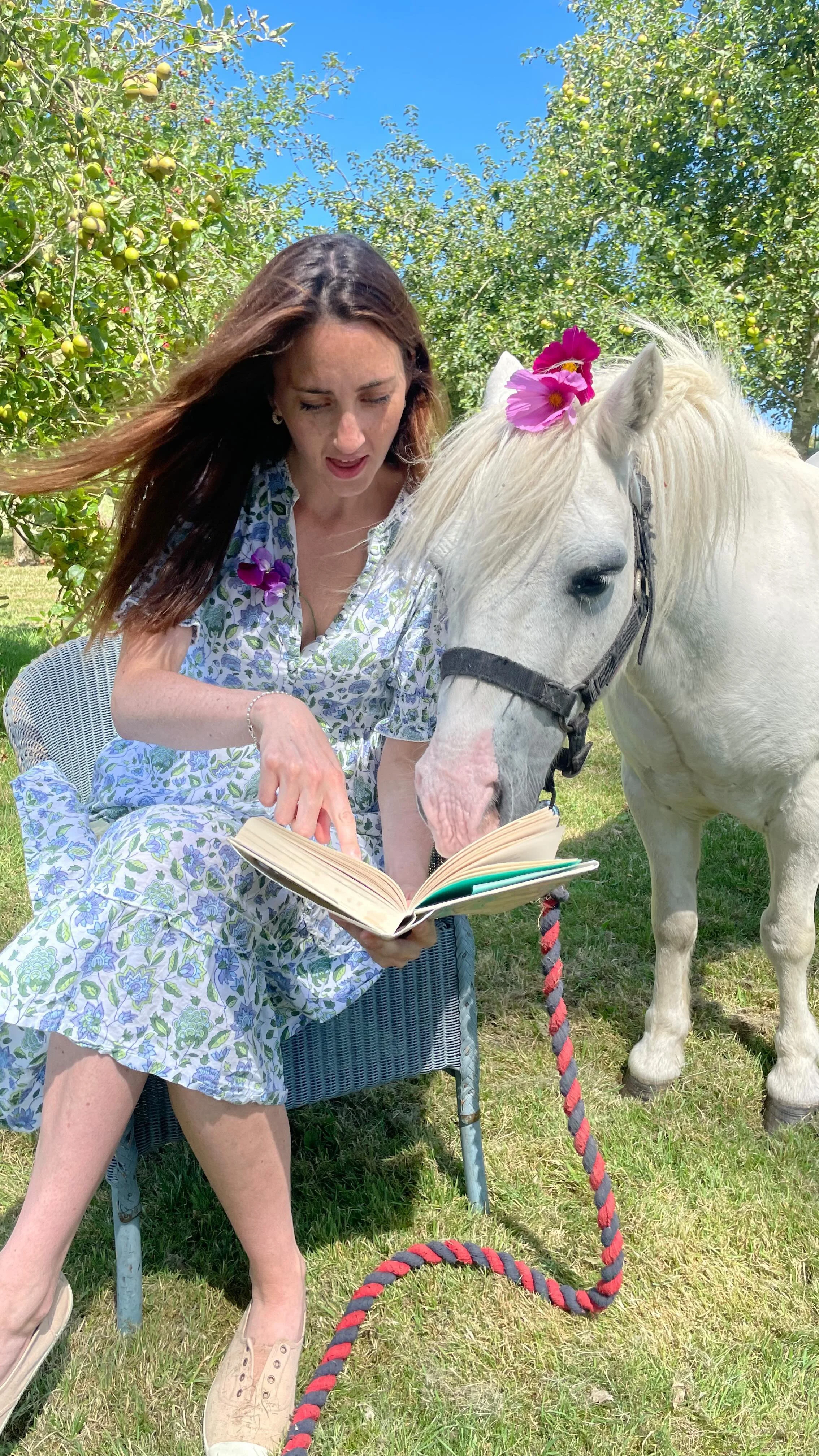 Social Media — Alice Loxton