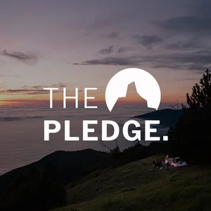 The Pledge — In Solidarity Project