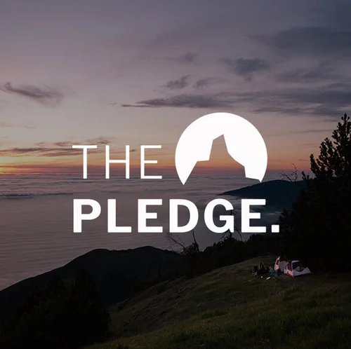 The Pledge — In Solidarity Project
