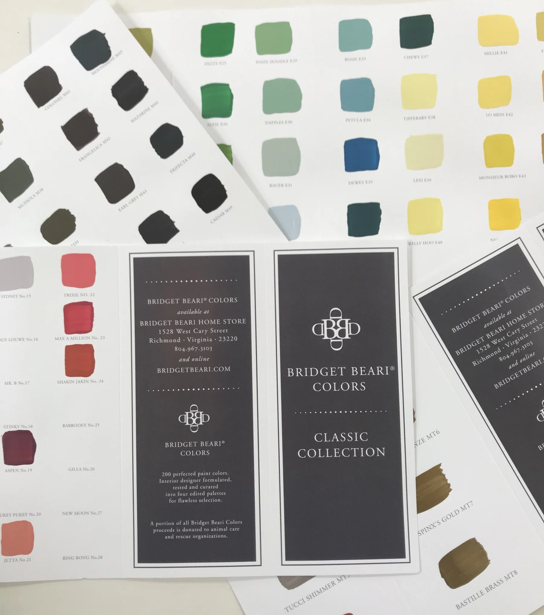 Color Cards — Bridget Beari® Colors