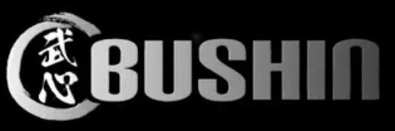 Bushin, Martial Arts class in Westminster, Victoria and Pimlico