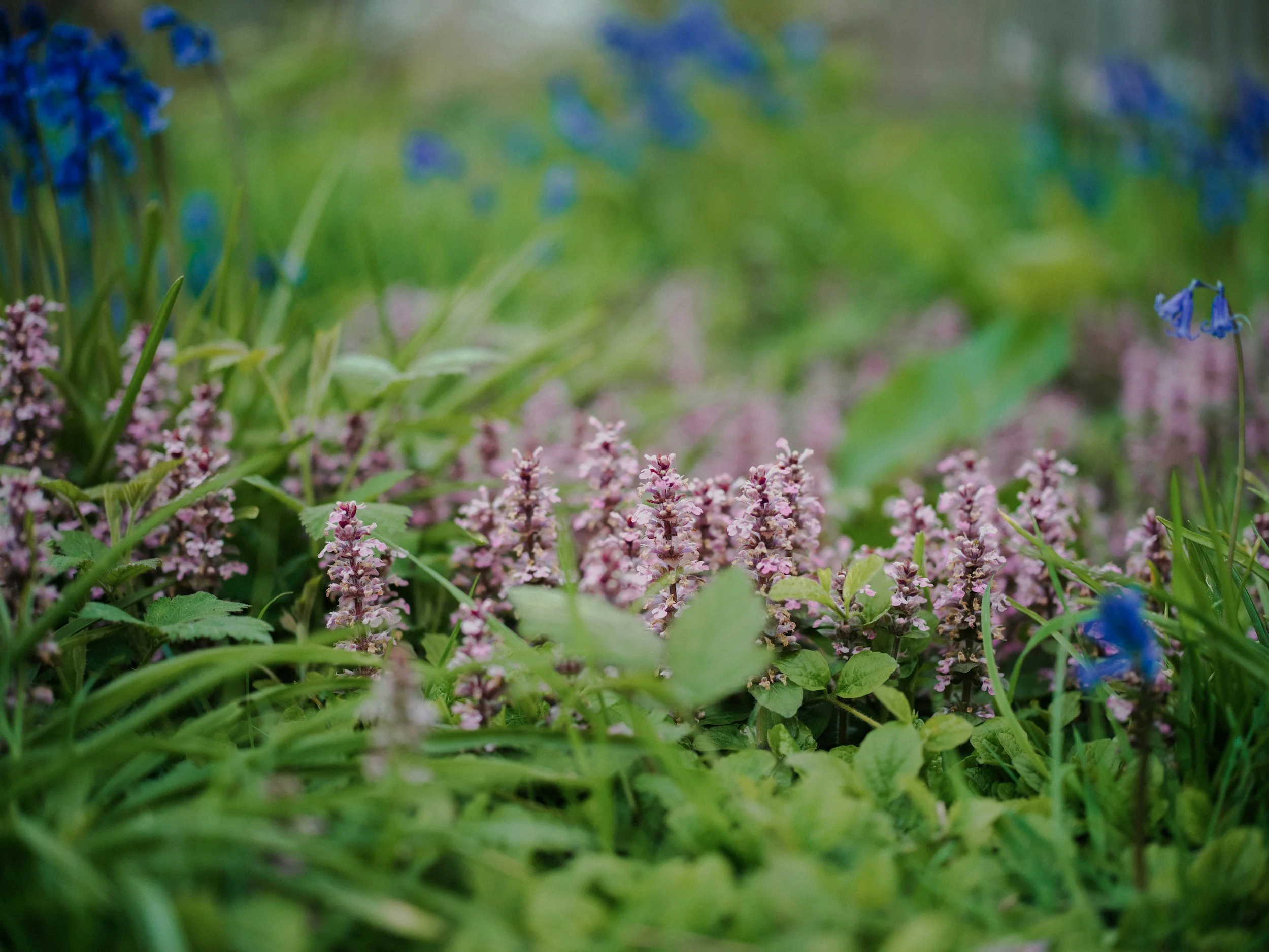 A Guide to Besoms - The History of the Witch's Broom — Mabon House